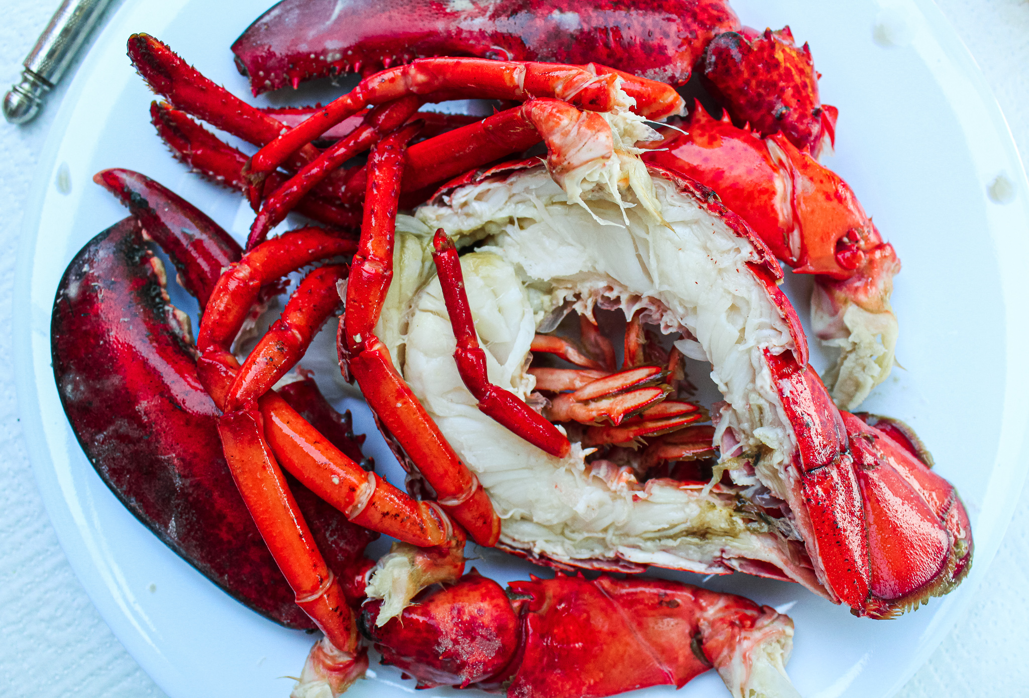 HOW TO HOST YOUR OWN LOBSTER FEST - For Fisk Sake